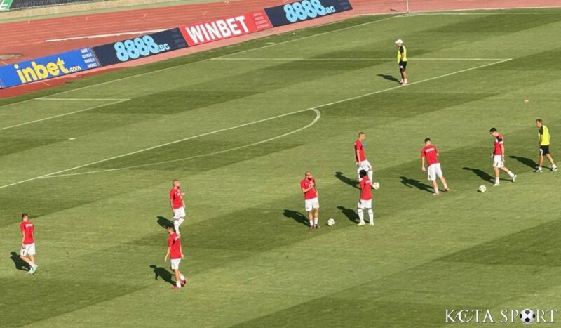 Аралица: Борим се за оцеляване - KotaSport